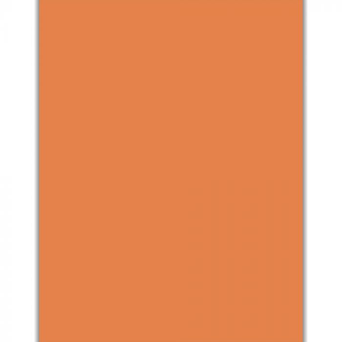 HNR Cover Stock Paper 8 in x 5 in Salmon 180gsm (pk/100) 1100711